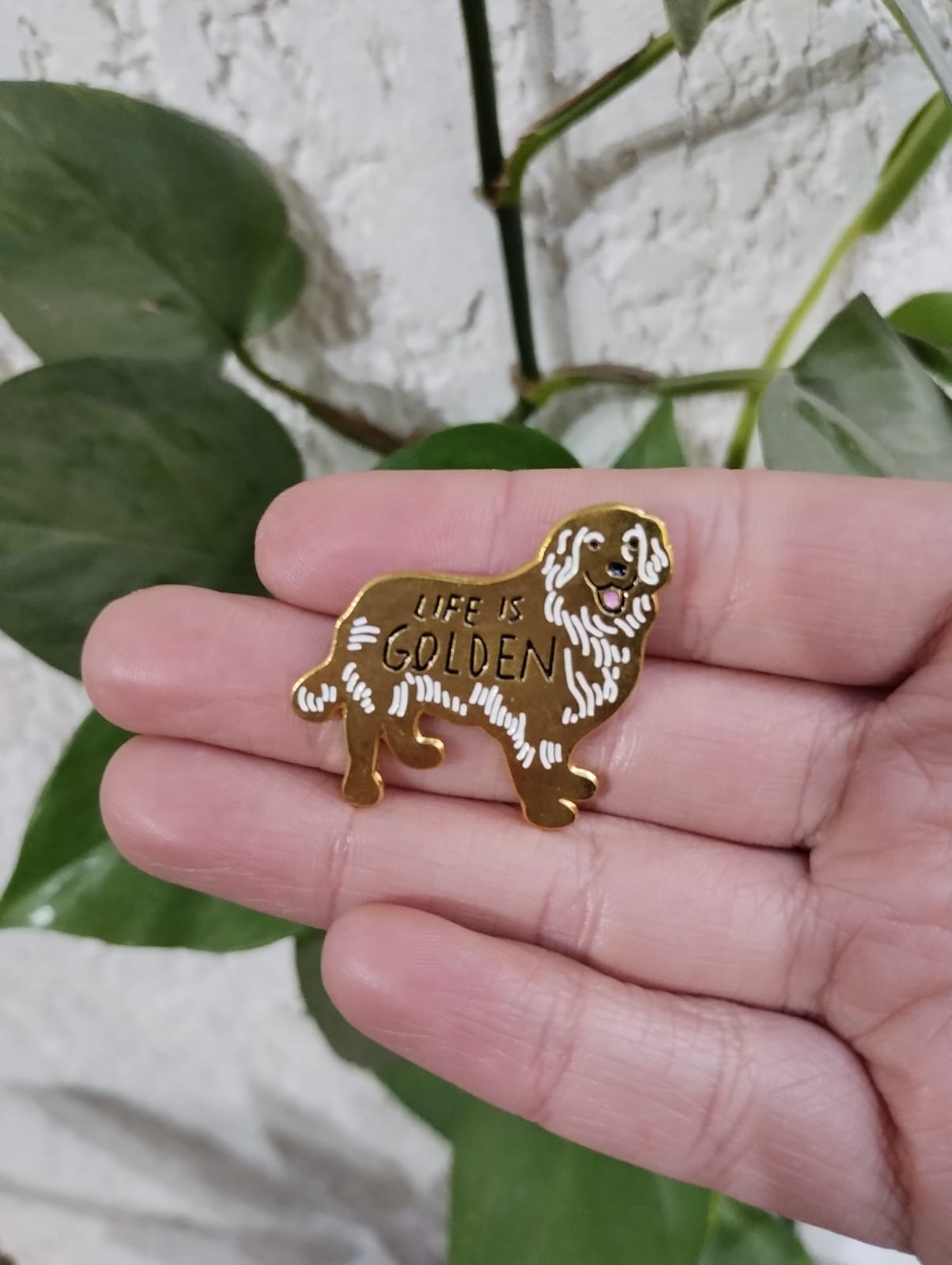 Pin Life is Golden. CorreosClic